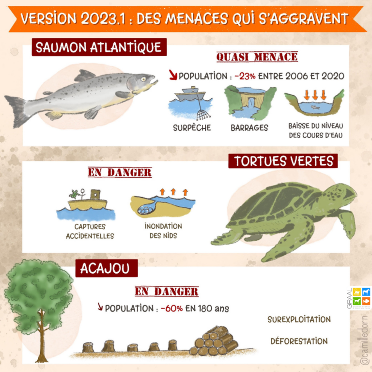 La liste des espèces menacées – Association Le GRAAL