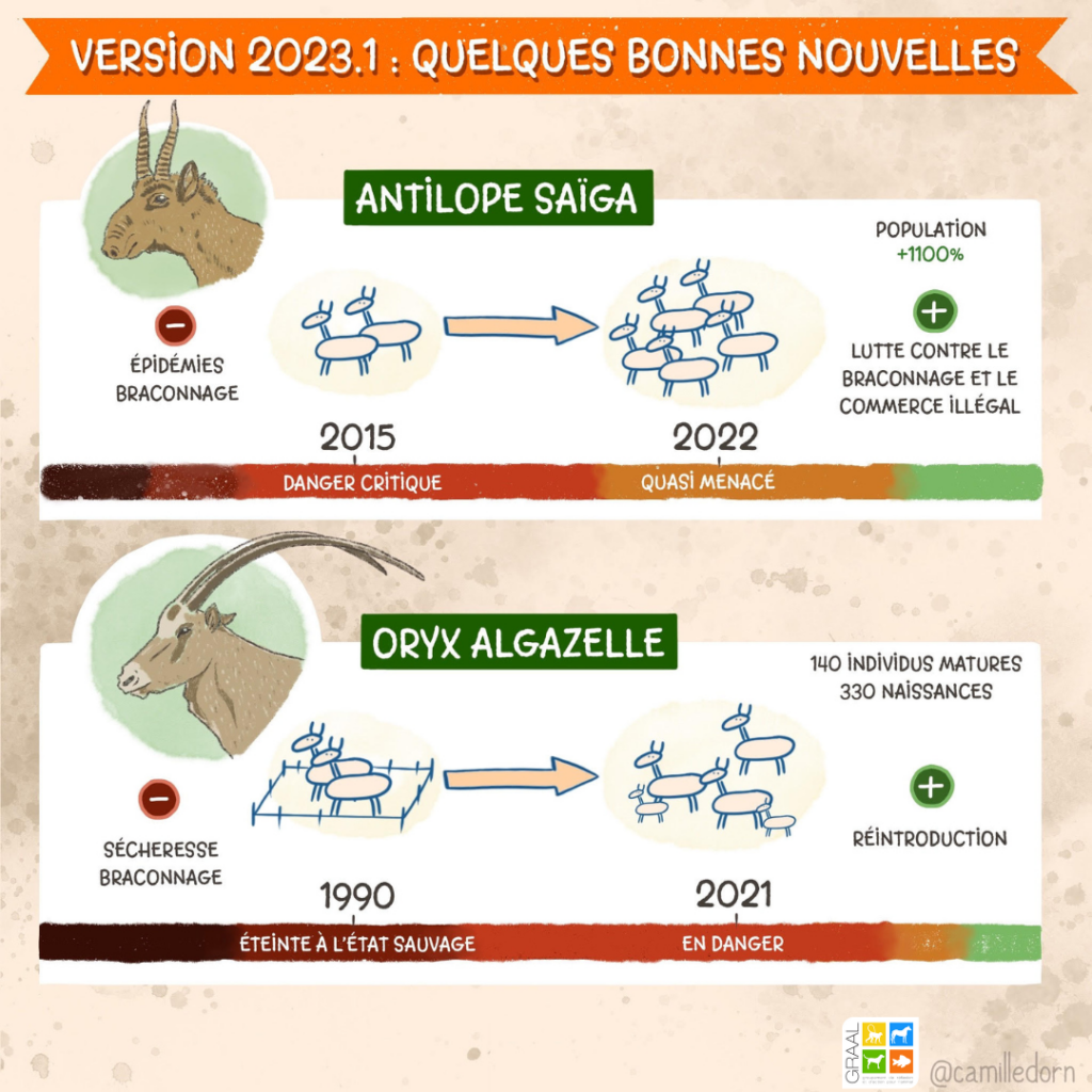 La liste des espèces menacées – Association Le GRAAL