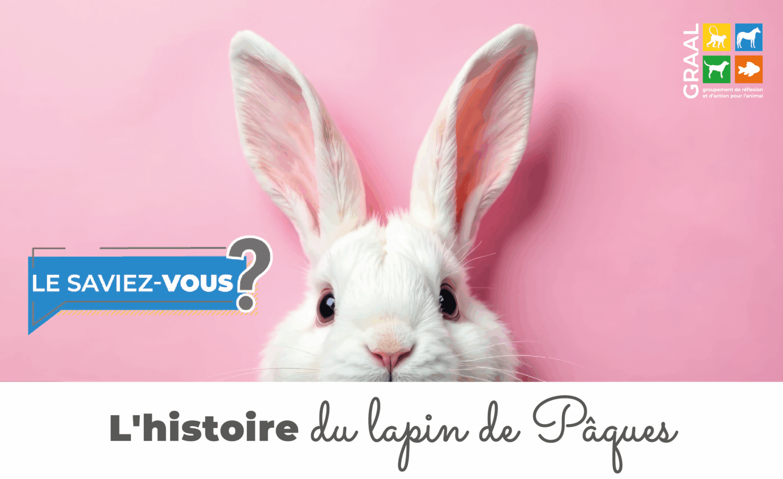 Le lapin de Pâques – Association Le GRAAL